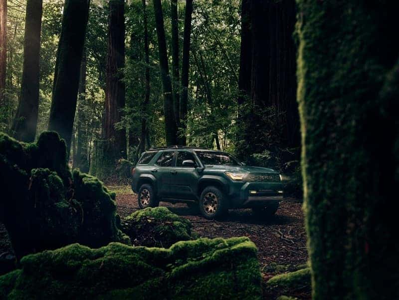 Toyota Dealer near Portland OR | Beaverton Toyota