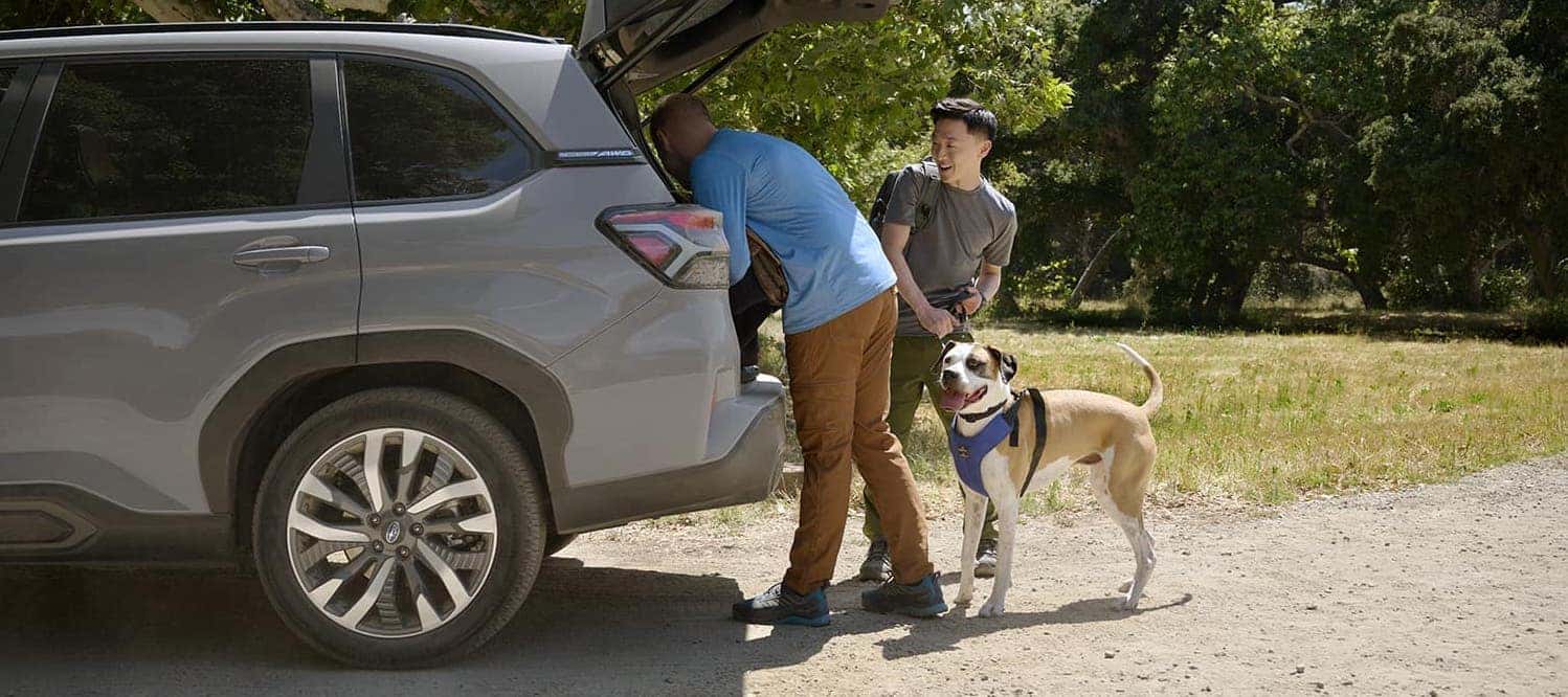 A Buyer's Best Friend | Subaru Dealer