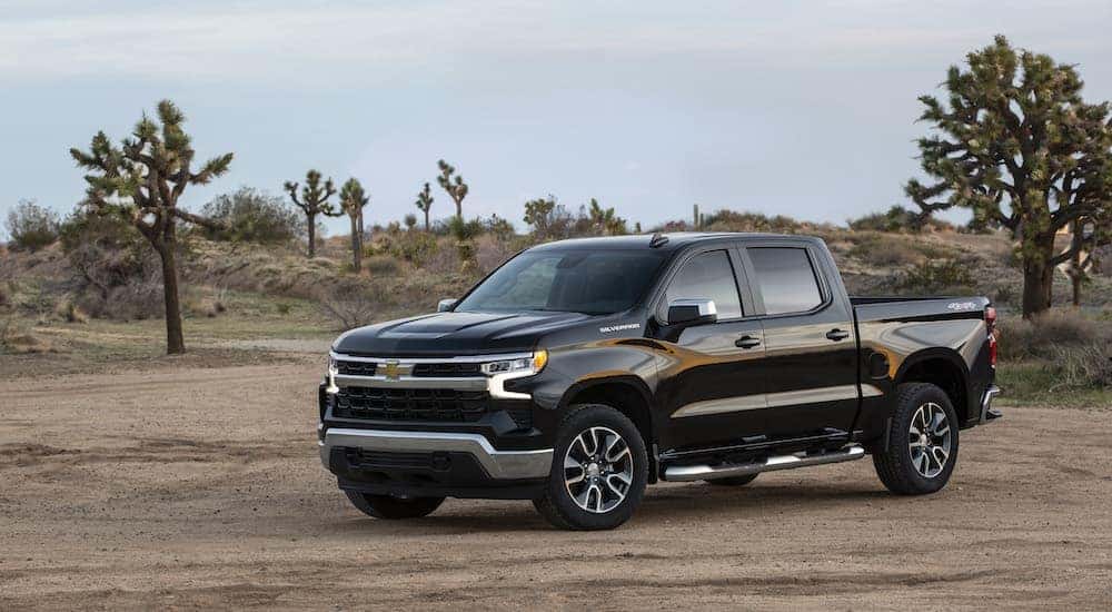 Performance & Practicality: 2024 Chevy Silverado 1500 Trim Guide