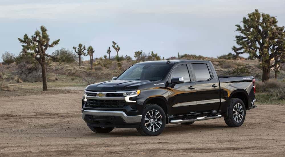 The 2025 Chevy Silverado 1500 LT: Strength and Style for All Your ...
