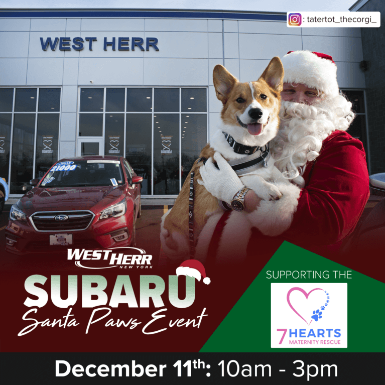 West Herr Subaru Santa Paws | West Herr Auto Group