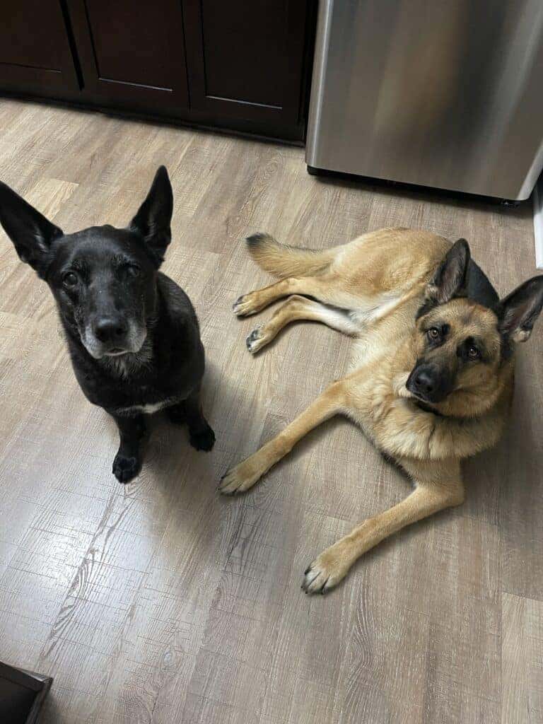 WEST HERR WEDNESDAY: Amber Trost | West Herr Auto Group